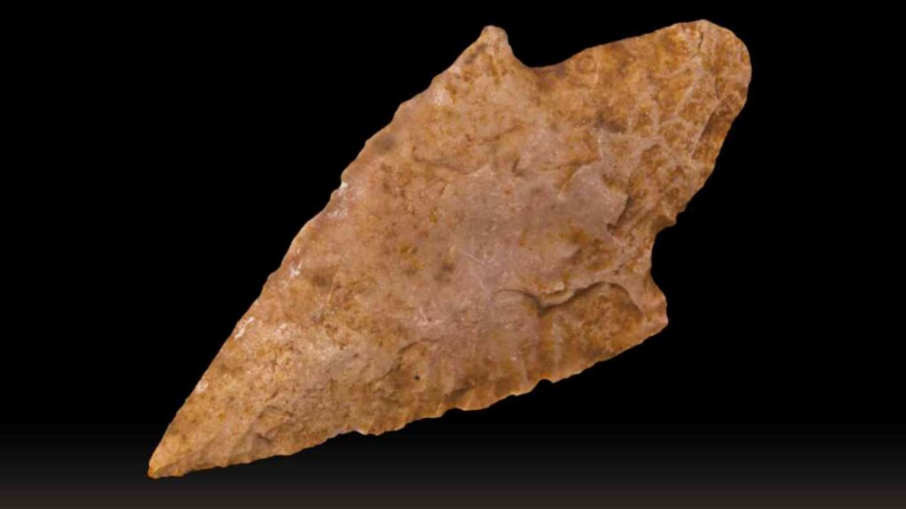 Ancient poisoned arrows push history back. New insight.