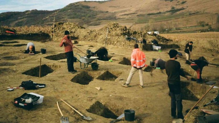 Little Foot Fossil May Not Be Human. A New Species Is Possible